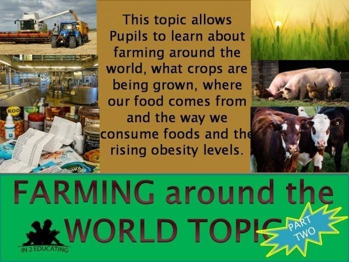 Understanding Food Production, Distribution, and Pricing