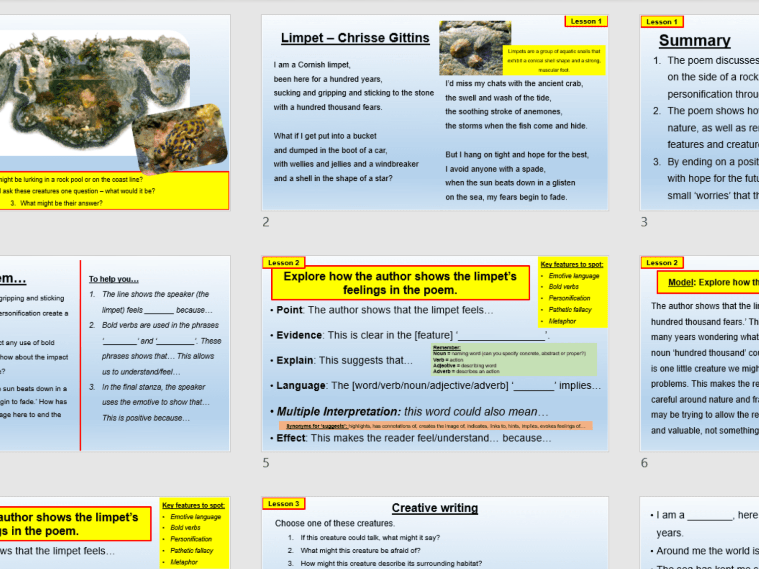 Explore 'Cornish Limpet' poem with comprehension questions and creative ...