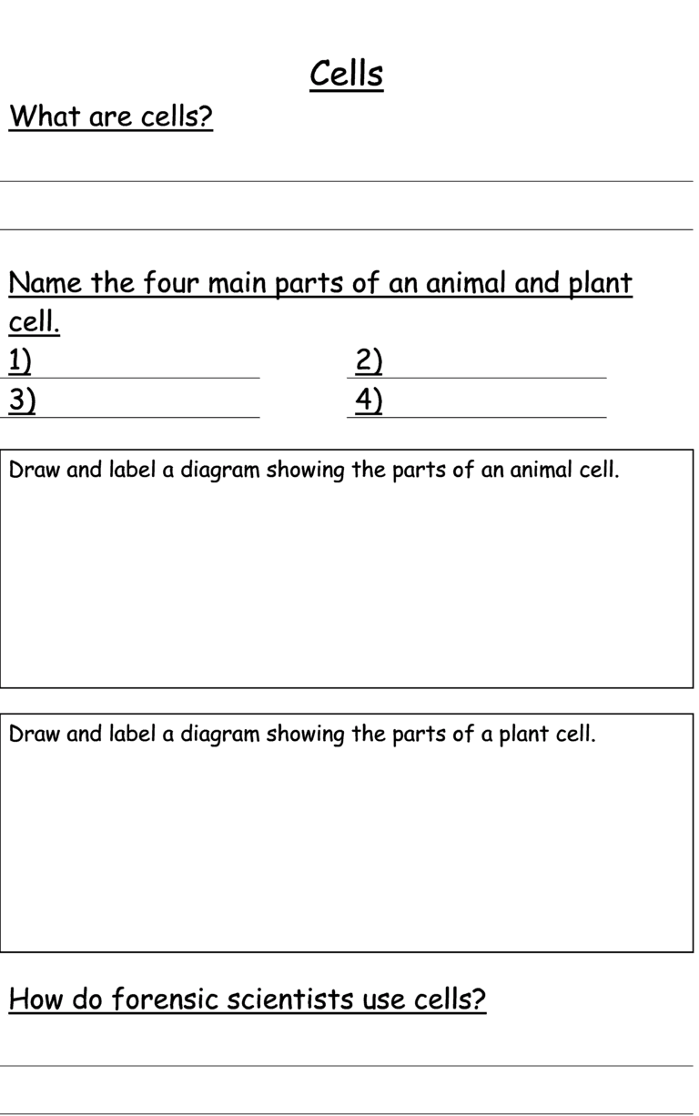 KS3 Biology Scheme of Work for Living Organisms: Cells, Organs and More