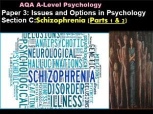 AQA A-Level Psychology: DOWNLOAD AS A ZIP FILE - Section C Option ...