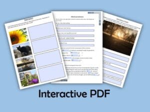 Interactive PDF Activities: Literacy Topics for Kids