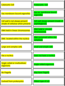 Printable Card Sort for Comparing Eukaryotic and Prokaryotic Cells