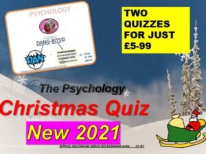 Psychology Christmas Quizzes (x2) 2021