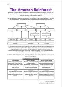 Amazon Rainforest Food Web Worksheets & Human Intervention Lesson