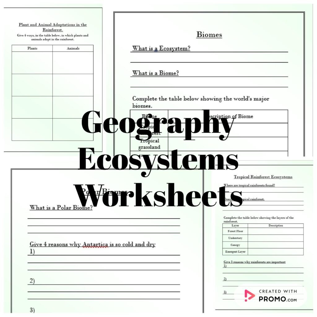 Geography Ecosystems Worksheets – Free and Premium Teaching Resources & Worksheets | Lesson Planned