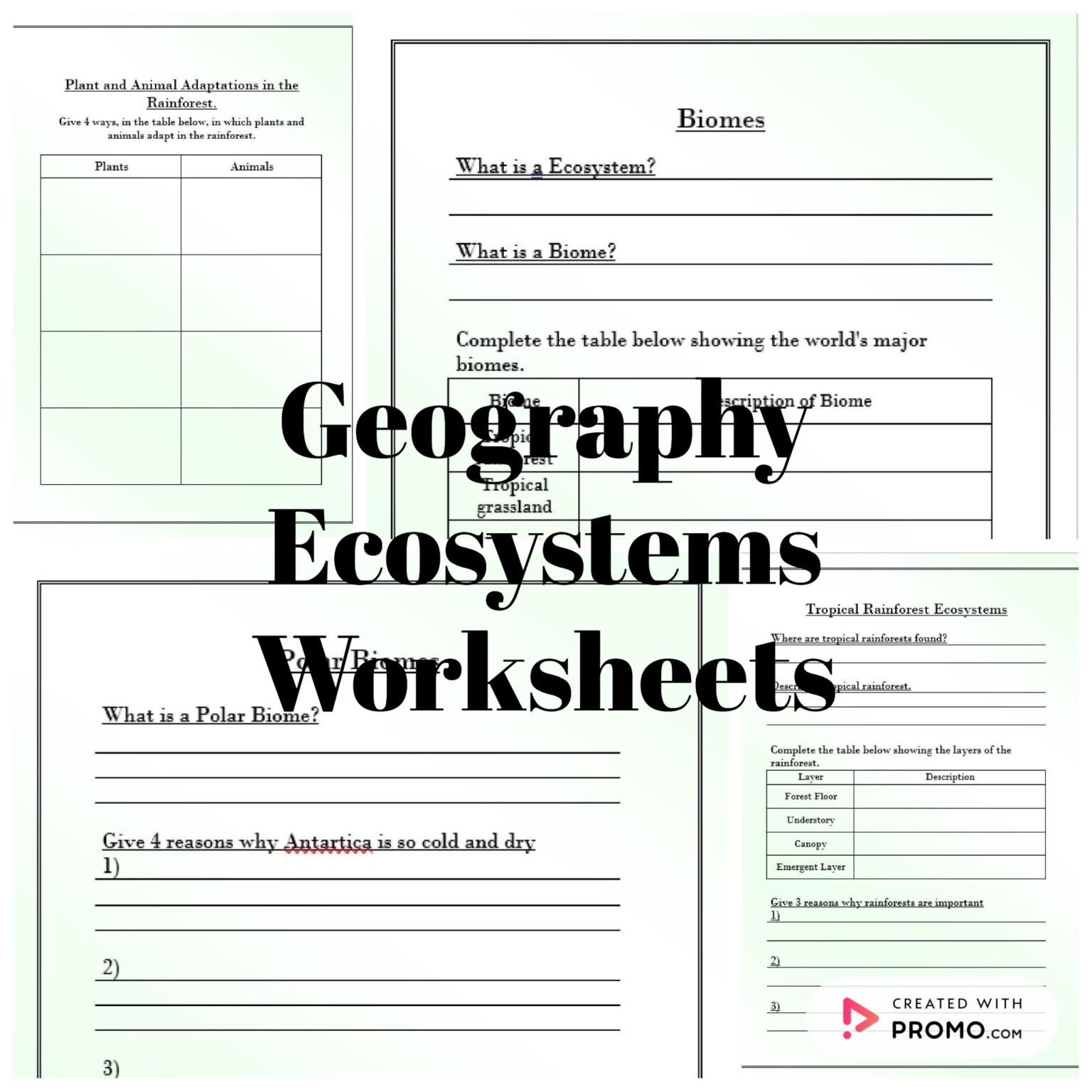 Geography Ecosystems Worksheets – Free and Premium Teaching Resources ...
