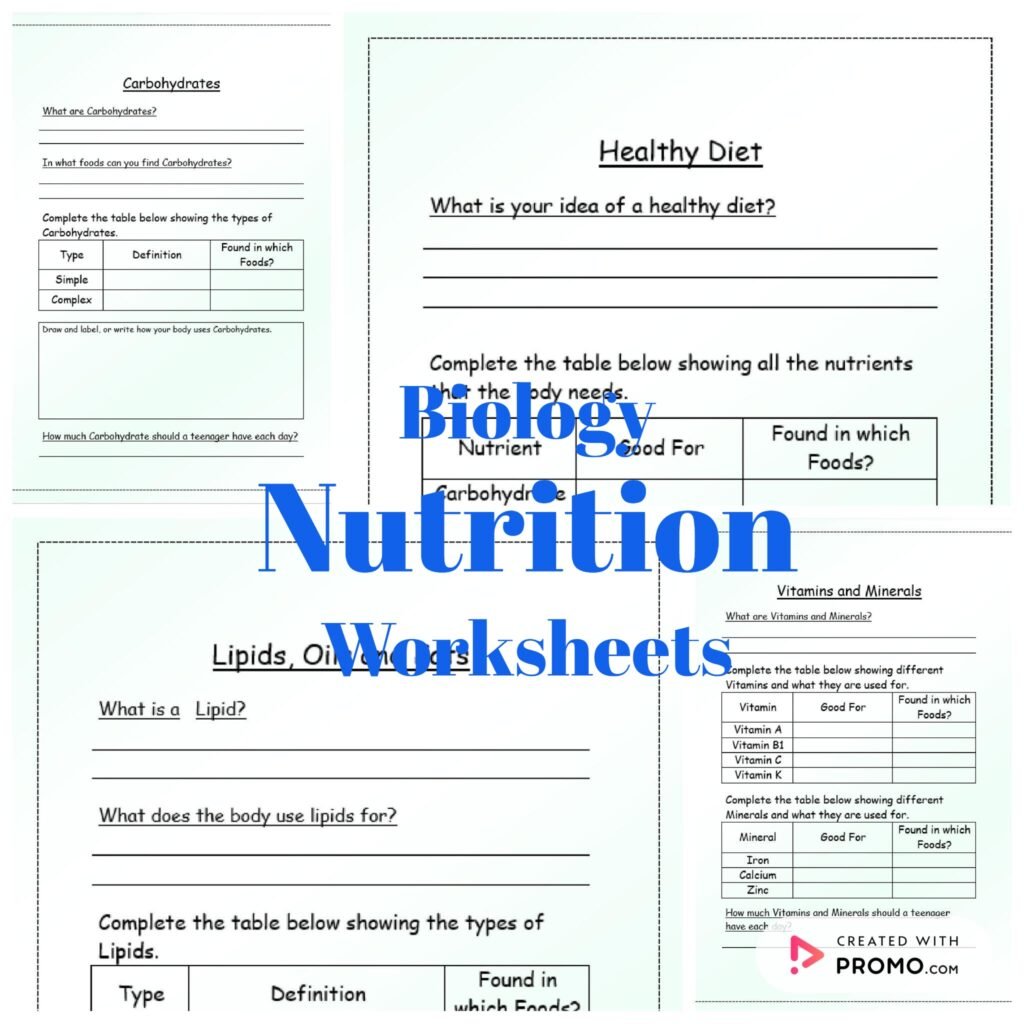KS3 Biology Nutrition Worksheets – Free and Premium Teaching Resources ...