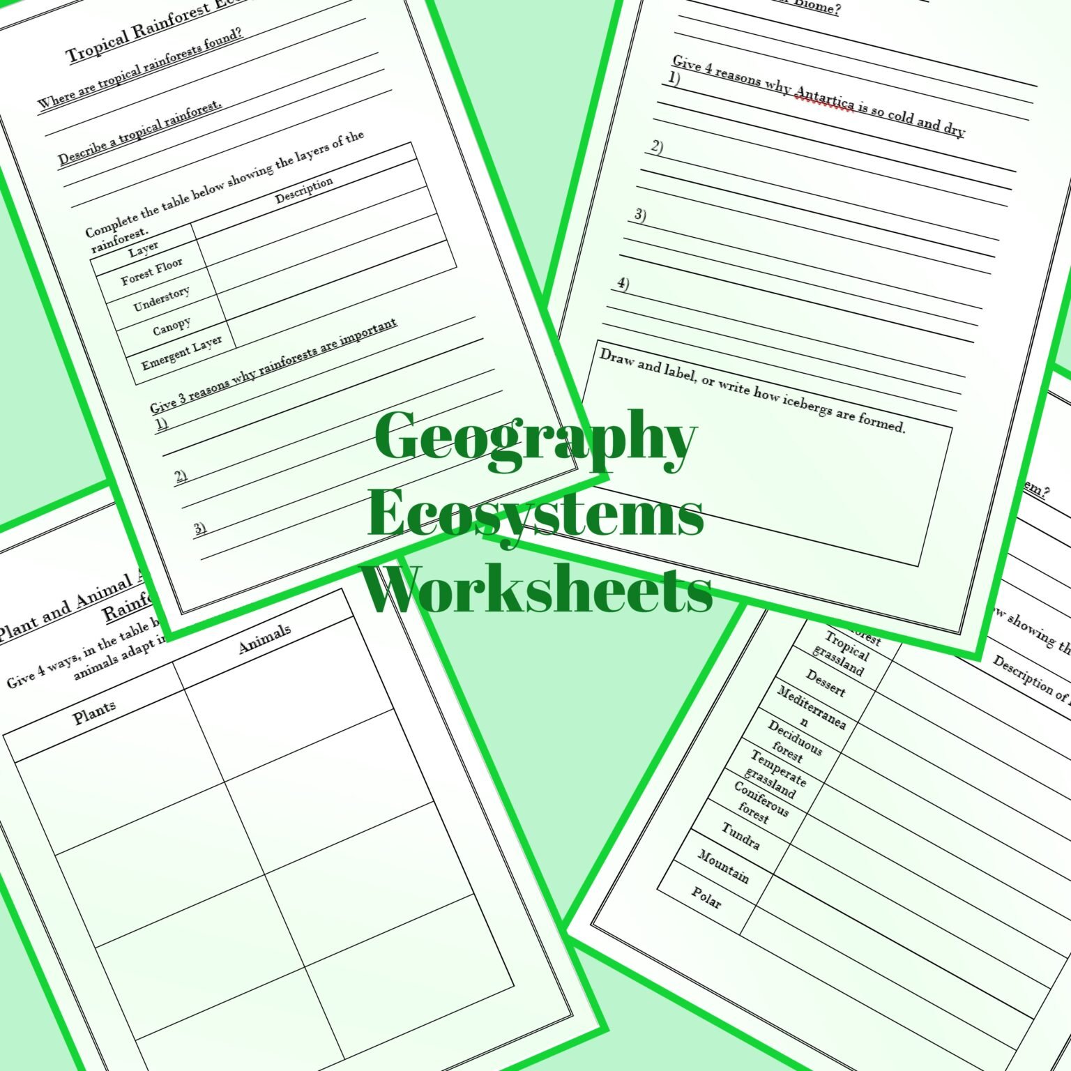KS3 Geography Ecosystems Worksheets: Biomes, Plant & Animal Adaptations ...