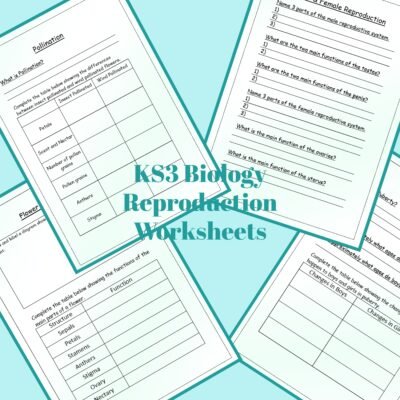 Ks3 Biology Reproduction Worksheets Male And Female Reproduction