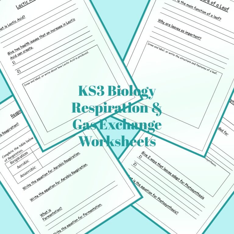 KS3 Biology Worksheets for Respiration and Gas Exchange
