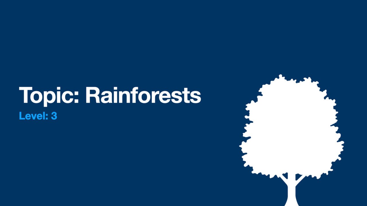 Exploring Rainforests: Engaging Upper Intermediate EFL Speaking Class ...