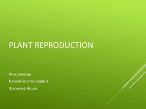 Discover Plant Reproduction: Engaging PowerPoint Presentation