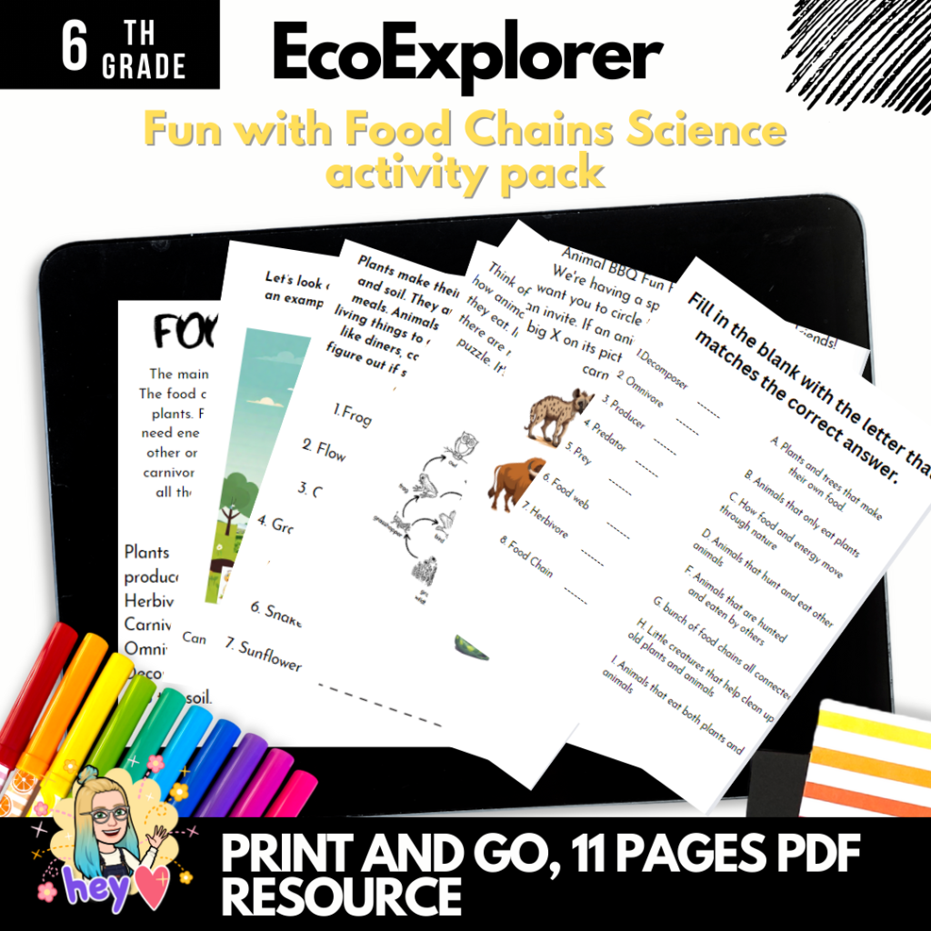 Exciting Grade 6 Food Chains Activity Pack