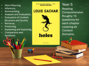 Year 5 Reading Comprehension Pack for Holes by Louis Sachar