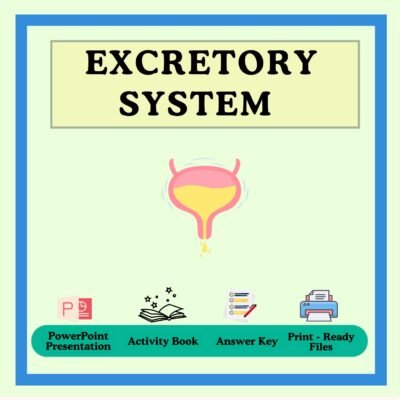 Master the Excretory System with Engaging Resources