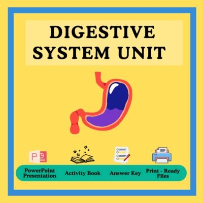Digestive System Bundle for Engaging Lessons