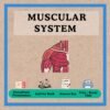 Engaging Muscular System Bundle for Schools