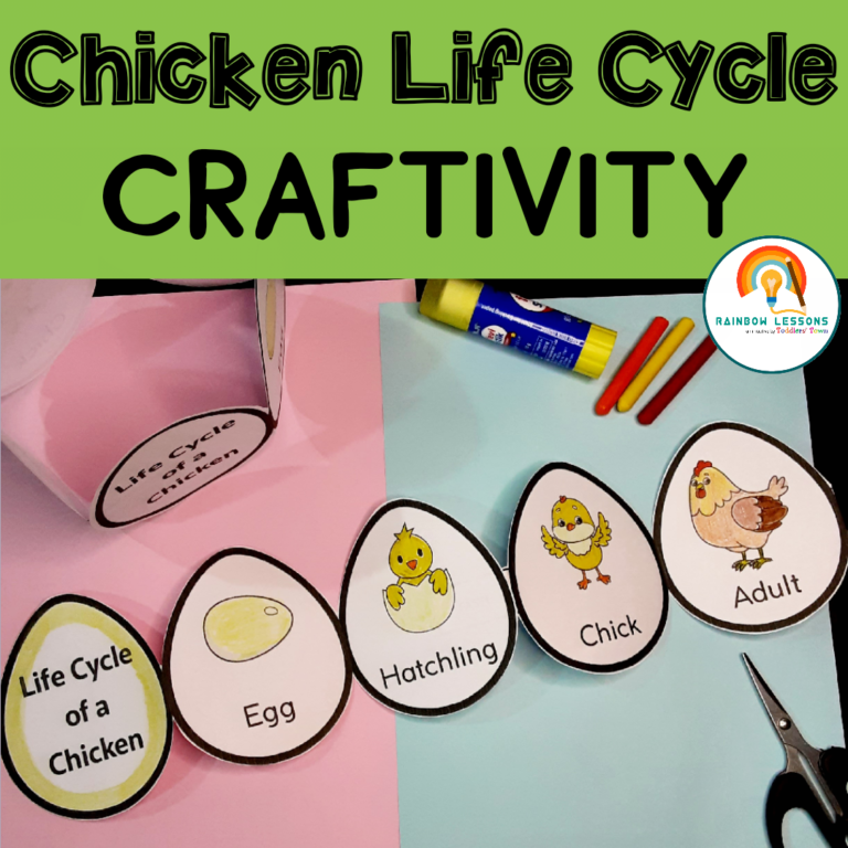 Fun Chicken Life Cycle Craft for Easter & Spring