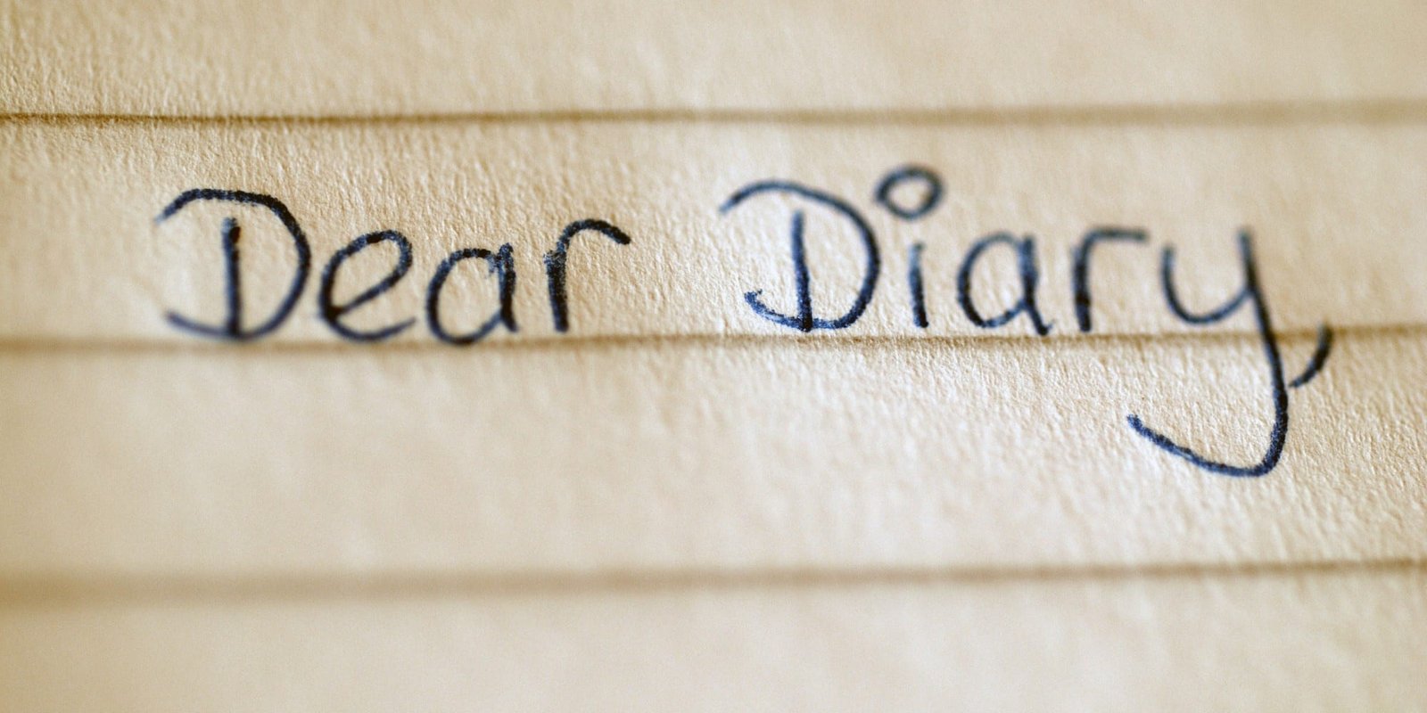 Weekend Diary Writing Success Criteria And Examples